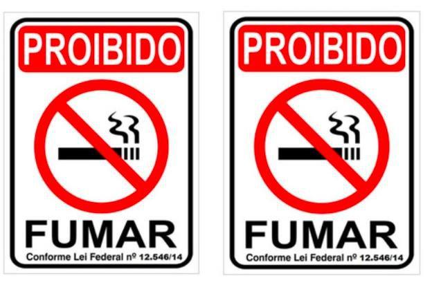 Kit 2 Placas de Sinalização PROIBIDO FUMAR 20X15cm - Pacific Flower ...