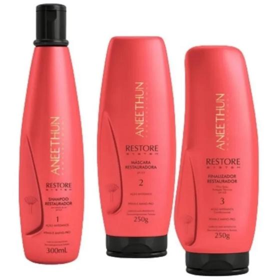 Kit 3 Aneethun Restore System Restaurador Sem Adição De Sal - Aneethum ...