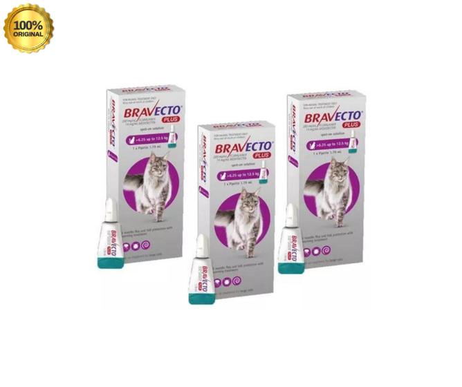 Kit 3 Bravecto Plus para Gatos De 6,25 A 12,5 Kg Antipulgas e Carrapatos 500mg - MSD - Antipulga ...