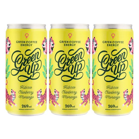 Kit 3 Energético Natural Green UP Hibisco, Cranberry e Morango 269ml - Bebida Energética ...