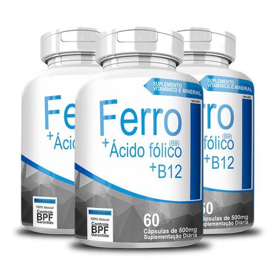 Kit 3 Ferro + B9 + B12 500mg 60 Cápsulas - 4 Elementos - Fitoterápicos ...