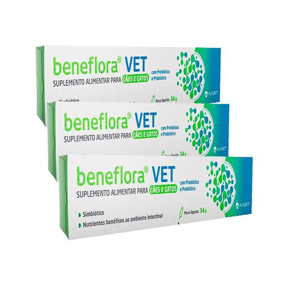 Kit 3 Suplementos Beneflora Vet Cães e Gatos Avert - 14g - Vitaminas e ...