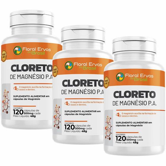 Kit 3x Cloreto de Magnésio P.A - (60 Capsulas cada) - Floral Ervas do Brasil - Cloreto de ...