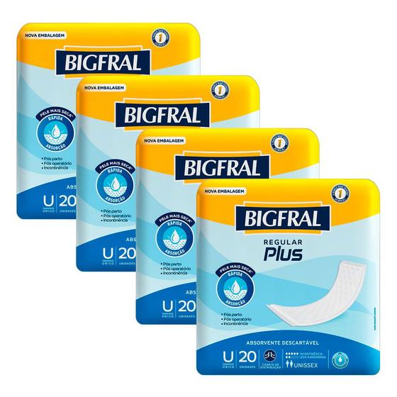 Kit 4 Absorvente Geriátrico Bigfral Regular Plus com 20 Unidades cada - Acessórios para ...