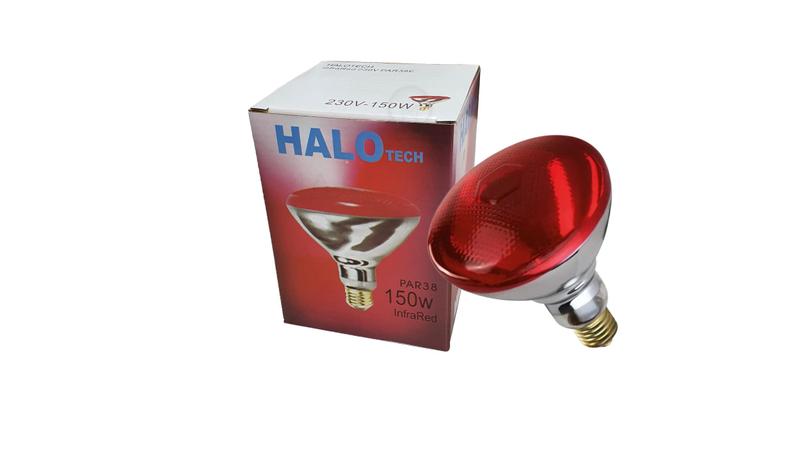 KIT 6 Lâmpada Infravermelho Medicinal 150w - 127V Para Dores Musculares - HALOTECH ...