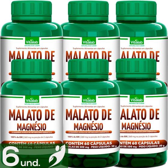 Kit 6 Malato de Magnésio Vitalab 500Mg 60 Cápsulas - Cloreto de Magnésio / Magnésio Dimalato ...