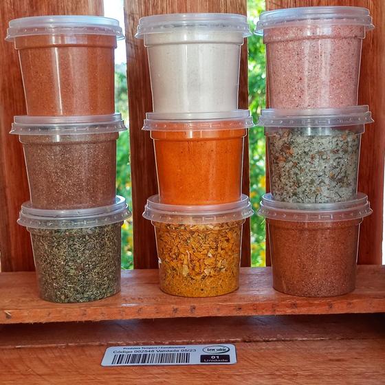 Kit 9 Temperos Naturais Qualidade Premium tipo artesanais - Leve Sabor ...