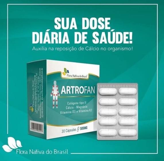 Kit com 04 Artrofan Colágeno Tipo 2 500mg 30 Cápsulas - Flora Nativa ...