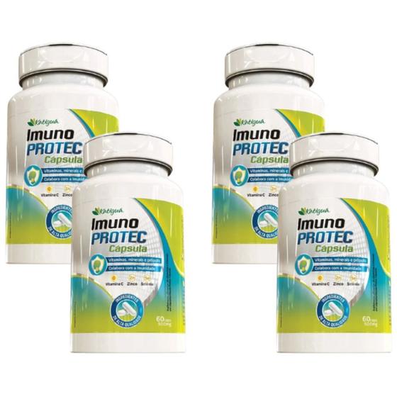 Kit com 4 Imuno Protec 60 Capsulas 500mg Katigua- Auxilia na Imunidade ...