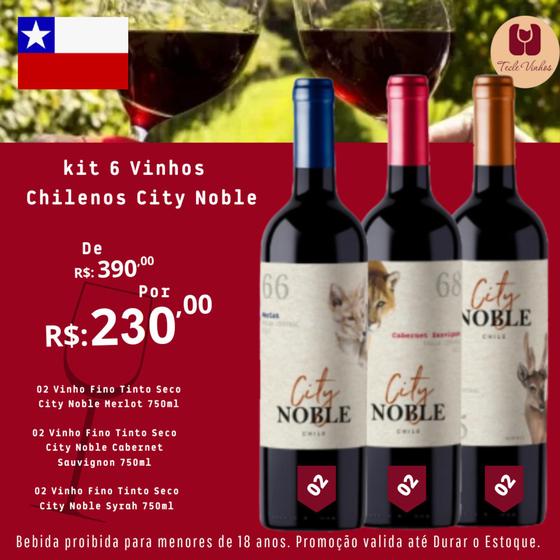 Kit com 6 Vinhos Tinto Merlot, Cabernet Sauvignon, Syrah Chilenos City ...