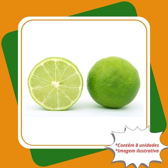 Kit com 8 Mudas de Limão Citrumelo Citrus Paradisi x Poncirus ...