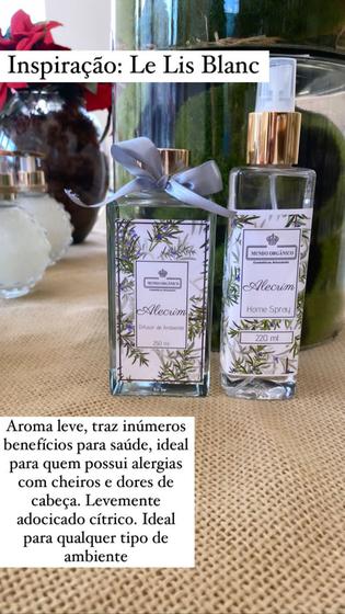 Kit Difusor + Esprei De Alecrim - Mundo Orgânico - Difusor de Aroma ...