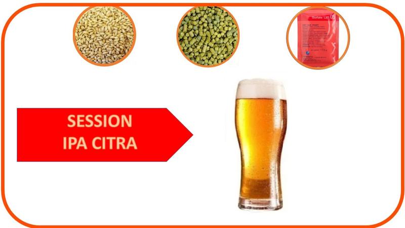 Kit Insumos 20L Session Ipa Citra cerveja Artesanal - Artesanal Bier ...