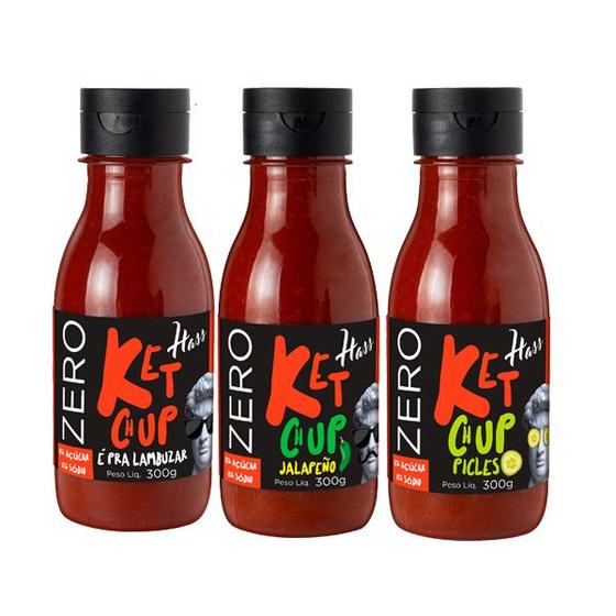 Kit Ketchup Zero Açúcar Hass 300g - Ketchup - Magazine Luiza
