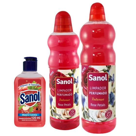 Kit Limpador Sanol Rose, Maça Canela Superficie Concentrado - Limpador ...