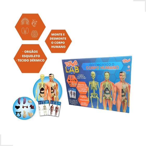 Kit Medicina Corpo Humano Anatomia Todos Órgãos Esqueleto Brinquedo ...