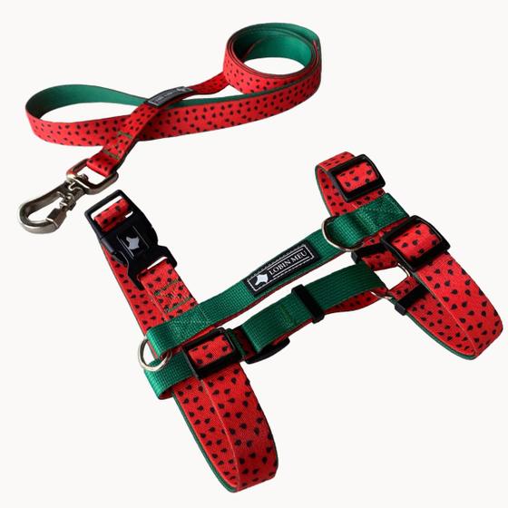 KIT Peitoral H + Guia pet Lobin Meu - Coleira para Cachorro - Magazine ...