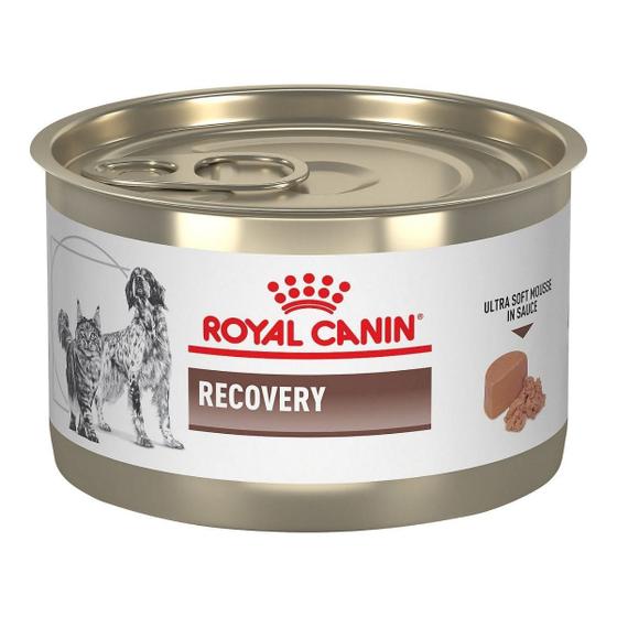 KIT Royal Canin Recovery Ração Recuperação para Cão e Gato - Ração Seca ...