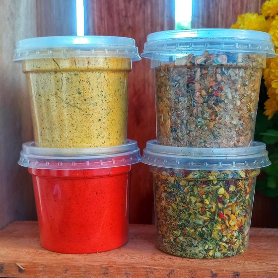 KIT TEMPERO COMPLETO 4 POTES DE 100gr 140ML CADA - Leve sabor - Tempero ...