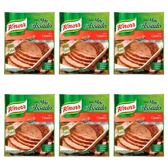 Knorr Meu Assado Tempero Caseiro 25g (Kit C/06) - Tempero - Magazine Luiza