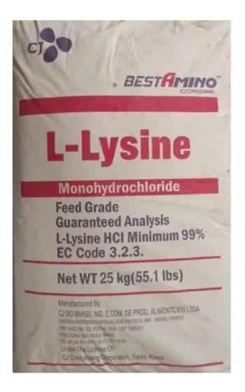 L - Lisina Hcl 99% Pura - Sacaria Com 25 Kg - Aginomoto - L-Carnitina ...