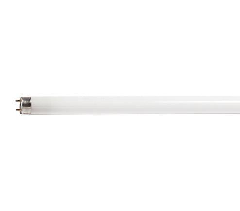 Lâmpada fluorescente tubular t8 philips 32w 3000k(branco quente)g13 basic tldrs - Lâmpada ...