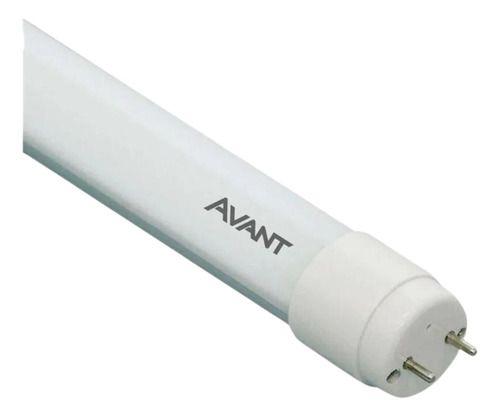 Lâmpada Led Tubular T8 18w 6500k 1850lm Bivolt Avant - Lâmpada Tubular - Magazine Luiza