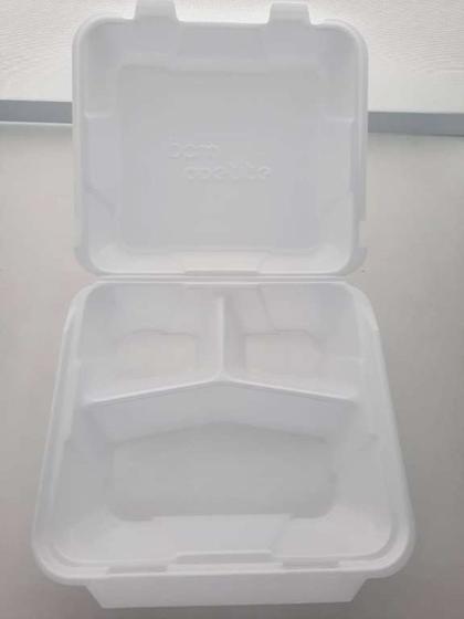 Lancheira de isopor bh-132 c/ divisoria 255mmx235mmx90mm (1x100) - BOM ...