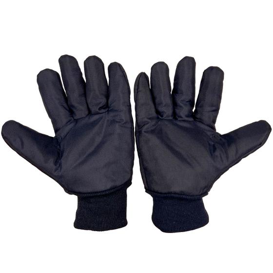 Luva Termica Azul Maicol Resistencia Baixa Temperatura Frio - No Magalu ...