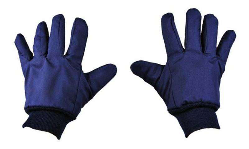 Luva Termica Baixa Temperatura Nylon Câmara Fria -35 - Linabra - Luvas ...