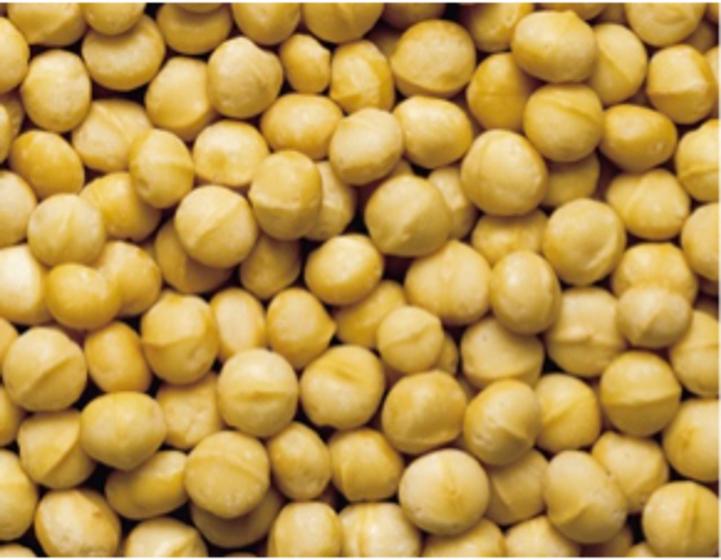 Macadâmia Natural Estilo 1 500g - Empório Dona Macadâmia - Nozes ...