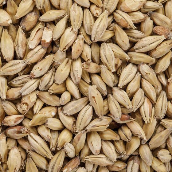 Malte Château Vienna Embalagem 1Kg - Castle Malting - Kit para Preparo ...