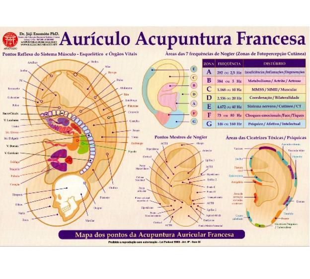 Mapa - Aurículo Acupuntura Francesa - Profº. Enomoto - Instituto ...