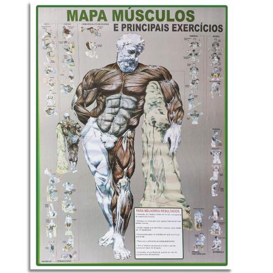 Mapa Corpo Músculos Academia Exercícios Calistenia - For Sales Store - Exercitador de Membros ...