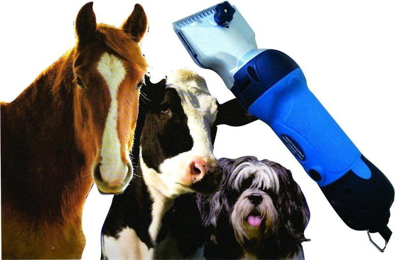 Máquina Tosa Tosquiadeira Cavalos Poneis Equinos Gado 220v ...