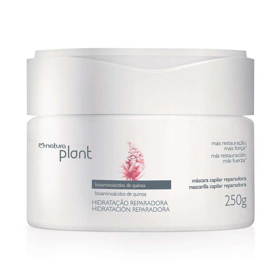 Máscara Hidratante Reparadora 250g Plant - Natura - Máscara Capilar ...
