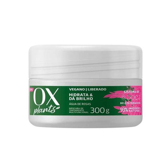 Máscara ox plants hidrata e dé brilho 300g - flora - Máscara Capilar ...