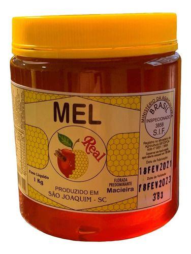 Mel De Abelha Puro De Macieira São Joaquim/sc Selo Sif 1kg - REAL ...