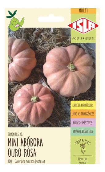 Mini Abobora Ouro Rosa - 800mg de Sementes - ISLA SEMENTES - Sementes ...