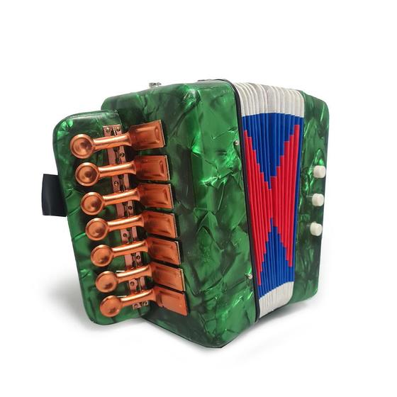 Mini Acordeon Infantil Sanfona Instrumento Musical 2 Baixos - Microtech ...