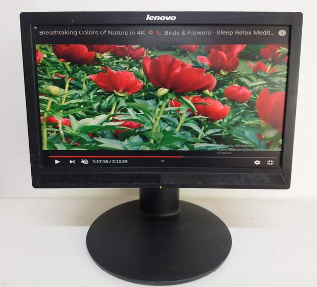 Monitor De 15 Polegadas Lenovo (Leia Com Atenção) - Monitor para ...