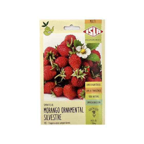 Morango Ornamental Silvestre - 130mg de Sementes/ Excelente para ...