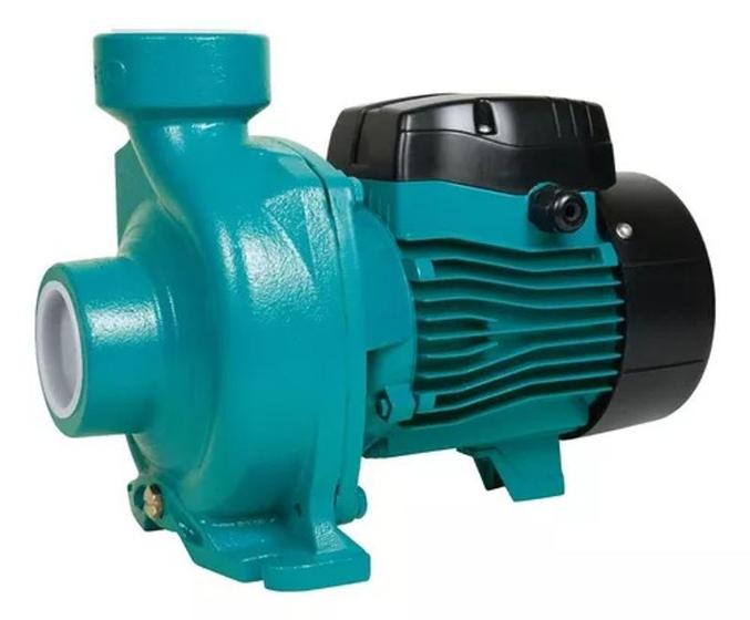 Motobomba Centrífuga ACm150B2 220V 2.0hp Lepono - Motobomba / Bomba D'água - Magazine Luiza