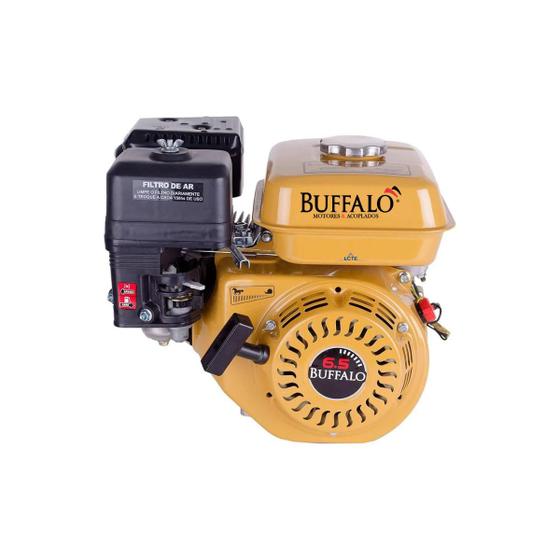 Motor à Gasolina Bfg 4t 6 5cv 196cc Partida Manual Buffalo Motor Para