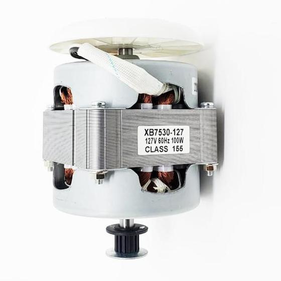 Motor Eletrico Npf-53 Xb6240 B Class 155 127V 60Hz Mondial - Secador de ...