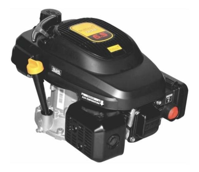 Motor Para Rabeta Vertical 6,5cv 196cc 4t Outboard Buffalo - Motor ...