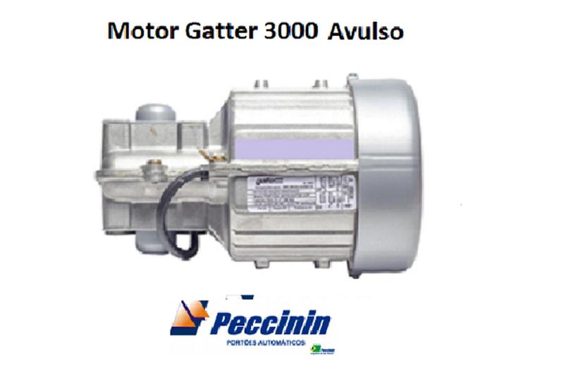 Motor Pivo / Basculante Gatter 1/4 Peccinin avulso 220 voltes ...