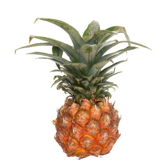 Muda de Abacaxi Gomo de Mel - Abacaxi de Gomo Para Produzir Frutos Doce ...