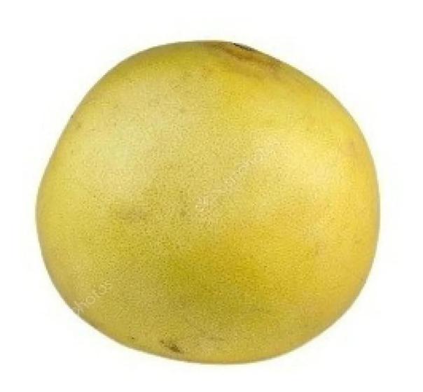 Muda De Laranja Zamboa - Enxertada - AMK - Jardinagem e Paisagismo ...