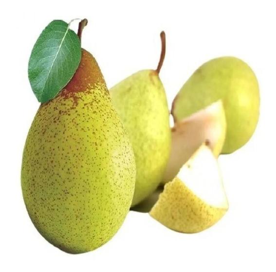 Muda De Pêra D Água - Enxertada - AMK - Jardinagem e Paisagismo - Muda ...